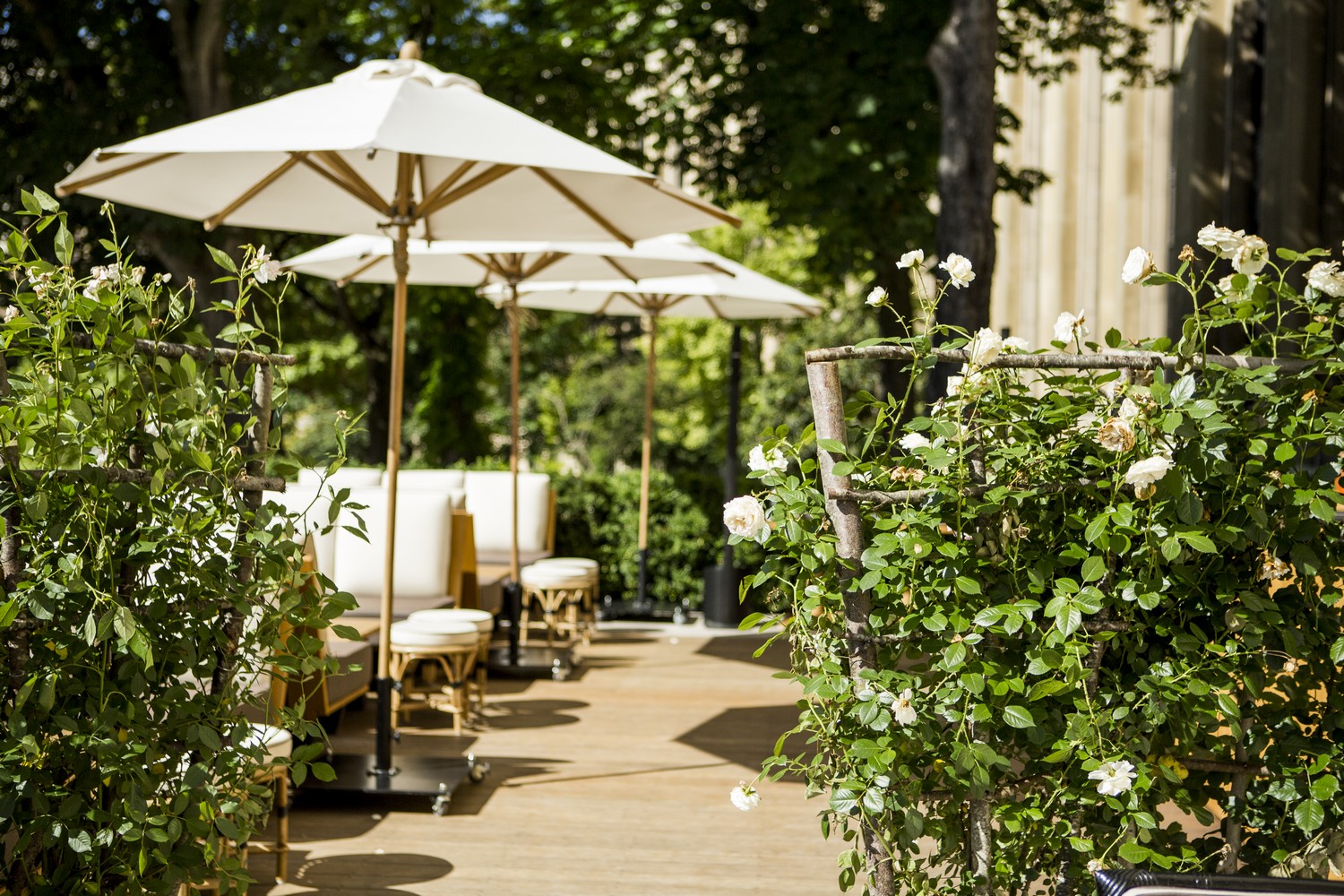 Le Café de l’Homme et son irrésistible terrasse